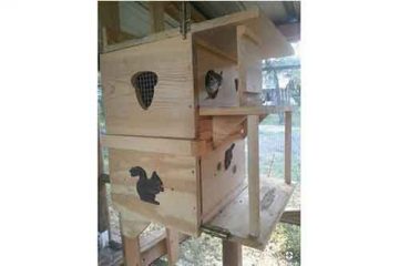 9 DIY Squirrel House Designs That Will Look Amazing In Your Yard
